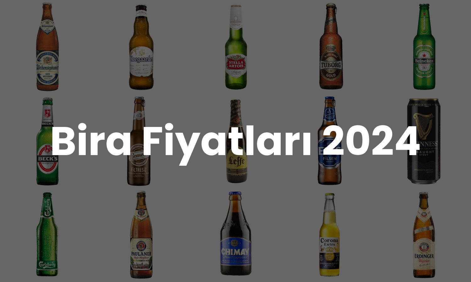 Bira Fiyatları 2024: Güncel Bira Fiyatları | AnlikAlkolFiyatlari.com